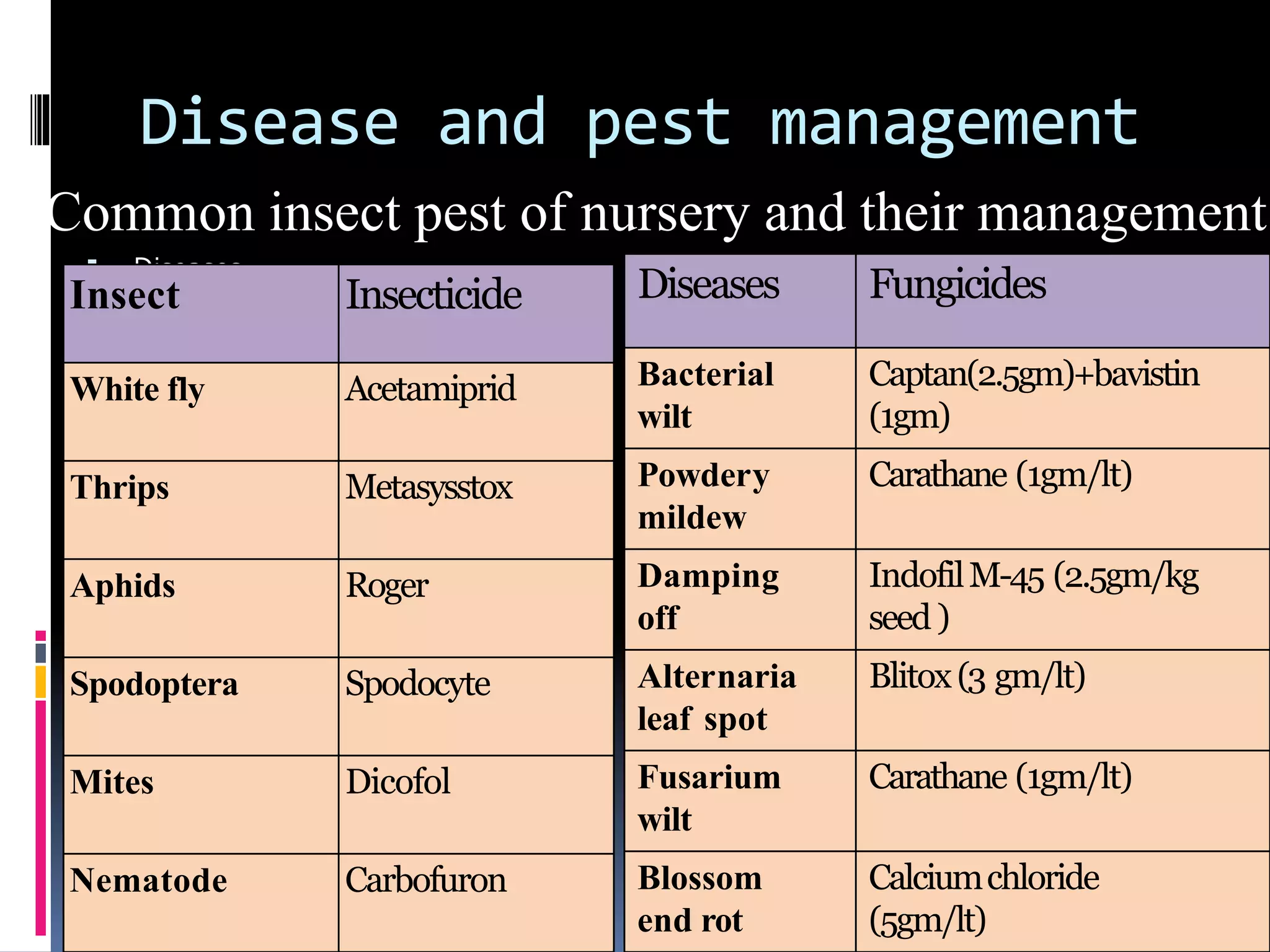 Nursery raising under protected structures | PPTX