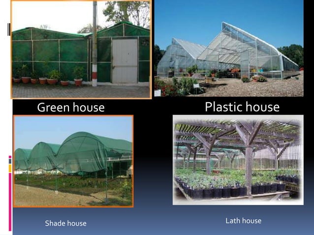 Nursery raising under protected structures | PPTX | Agriculture ...
