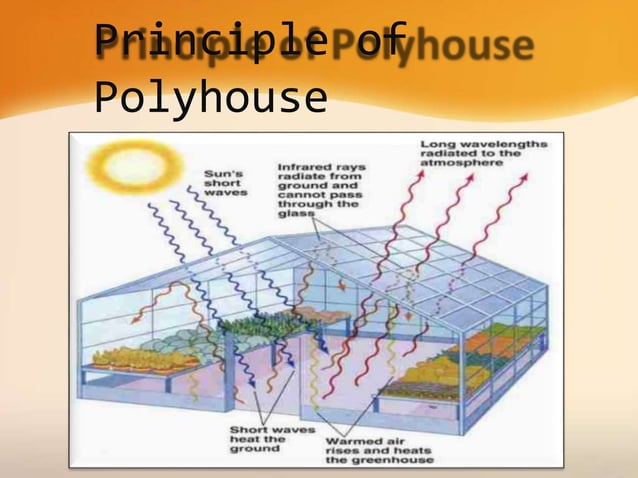 Nursery raising under protected structures | PPTX | Agriculture ...