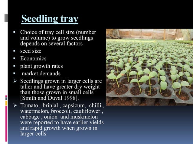 Nursery raising under protected structures | PPTX | Agriculture ...