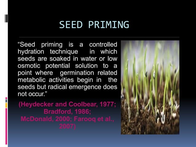 Nursery raising under protected structures | PPTX | Agriculture ...