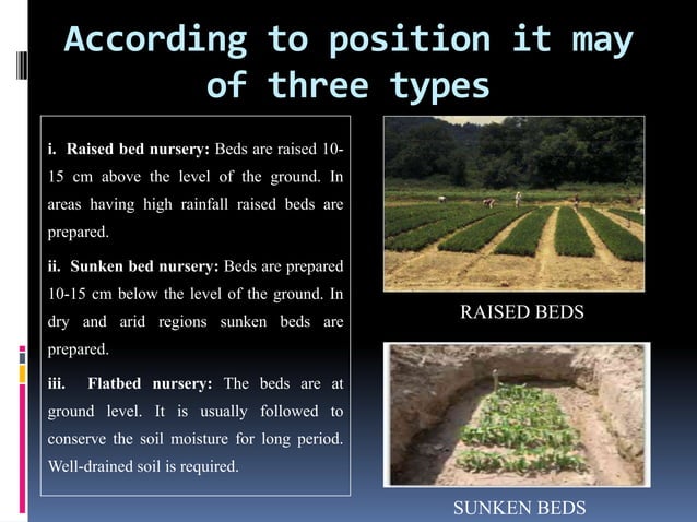 Nursery raising under protected structures | PPTX | Agriculture ...
