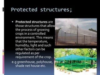 Nursery raising under protected structures | PPTX