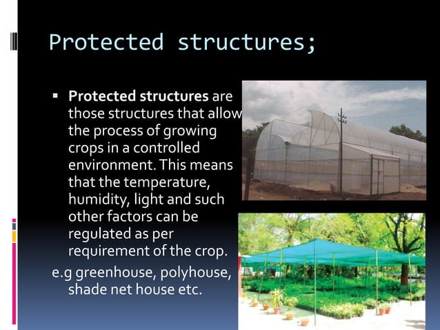 Nursery raising under protected structures | PPTX | Agriculture ...
