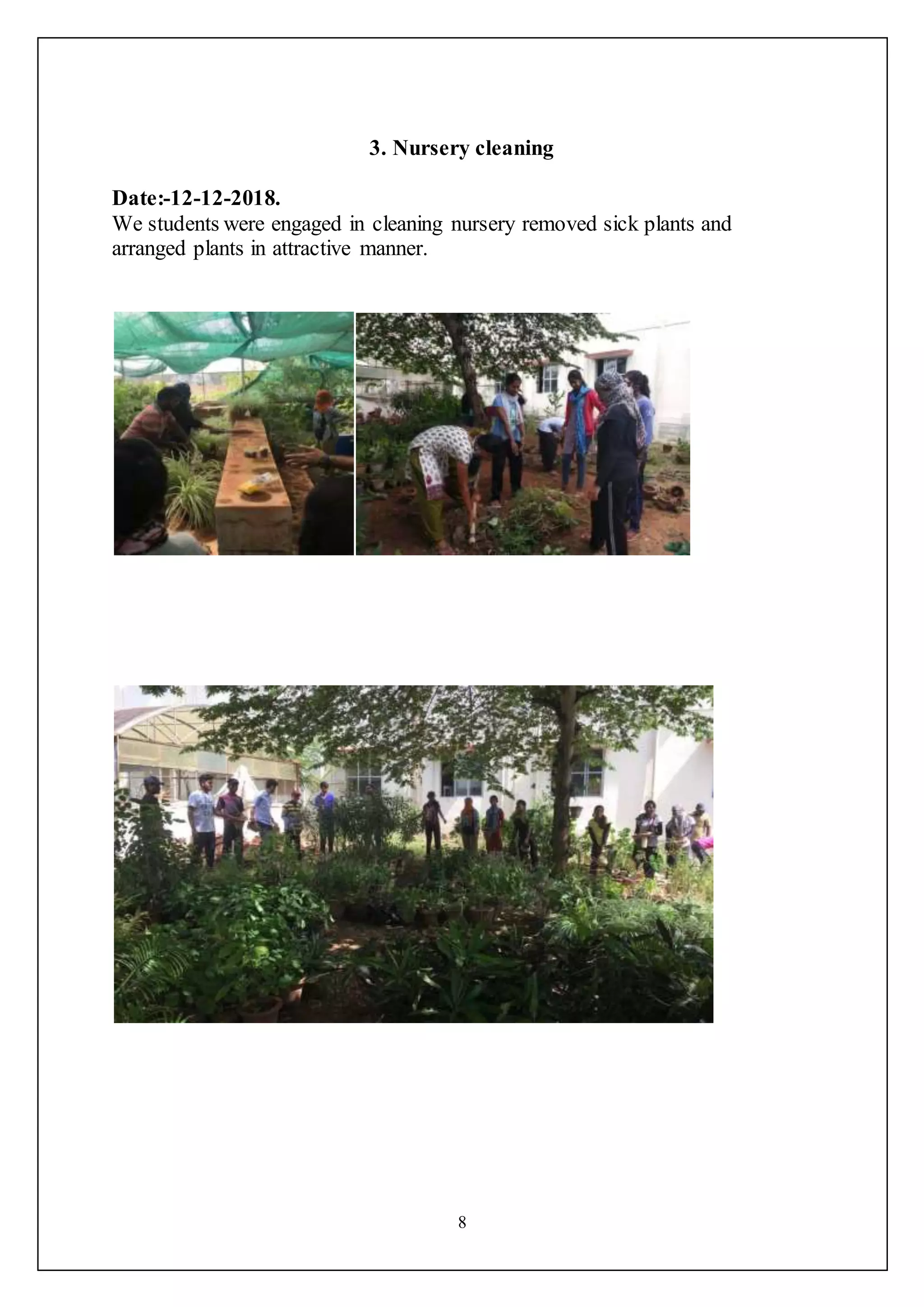 Nursery Management in horticulture crops | DOCX
