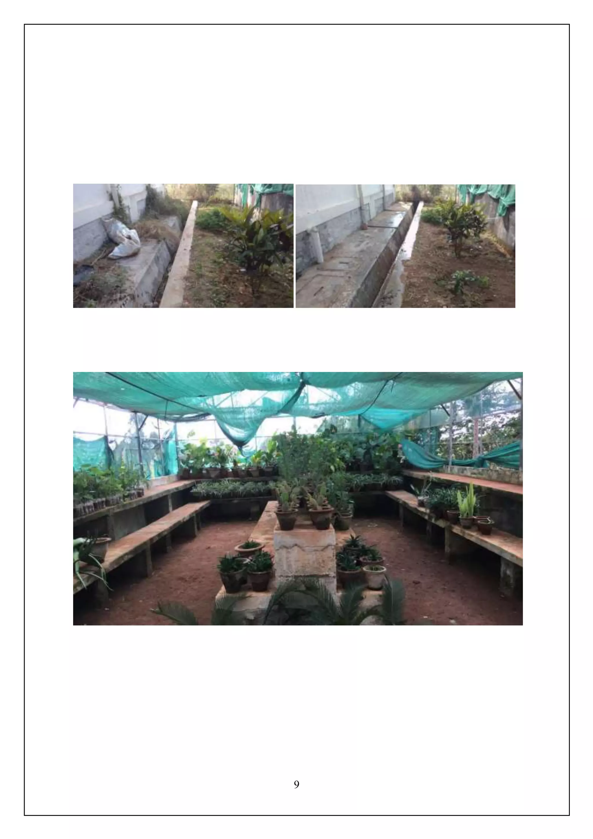 Nursery Management in horticulture crops | DOCX