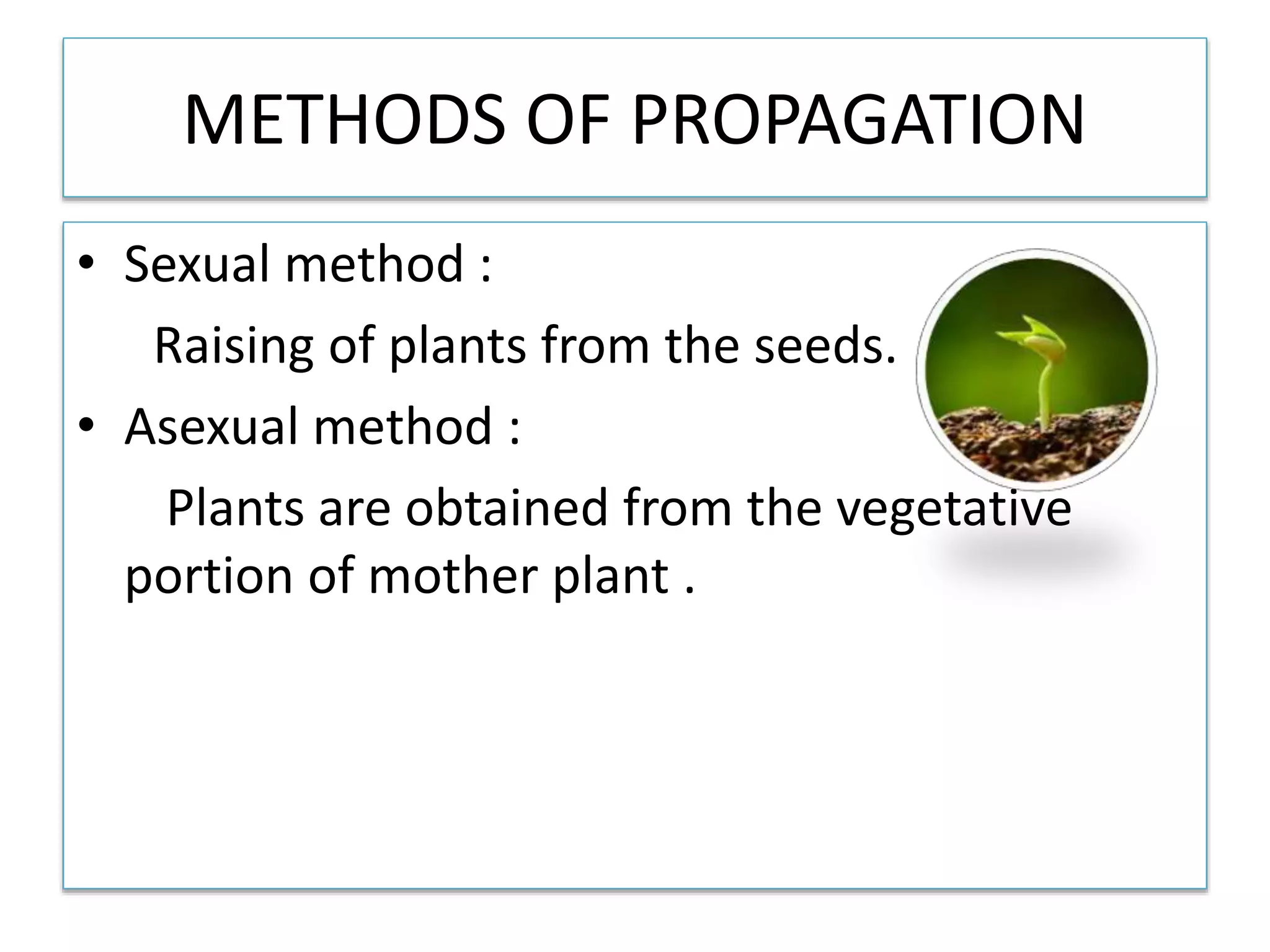 Nursery techniques and production of healthy plant materials. | PPTX