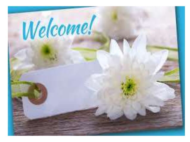 Nursery techniques and production of healthy plant materials. | PPTX