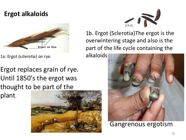Nurses Conference 2015