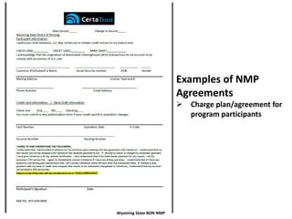 Nurses with Disabilties: Identifying Barriers, Overcoming Challenges | PPT