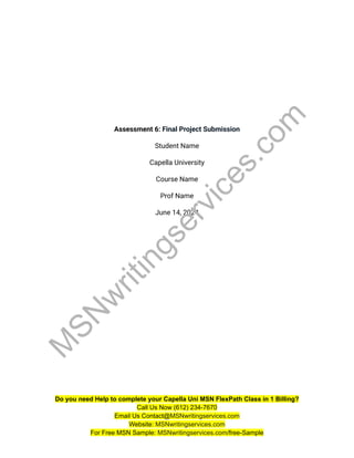 NURS FPX 6030 Assessment 6 Final Project Submission.pdf