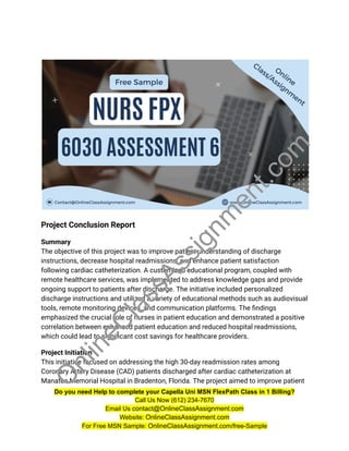 NURS FPX 6030 Assessment 6 Final Project Submission.pdf