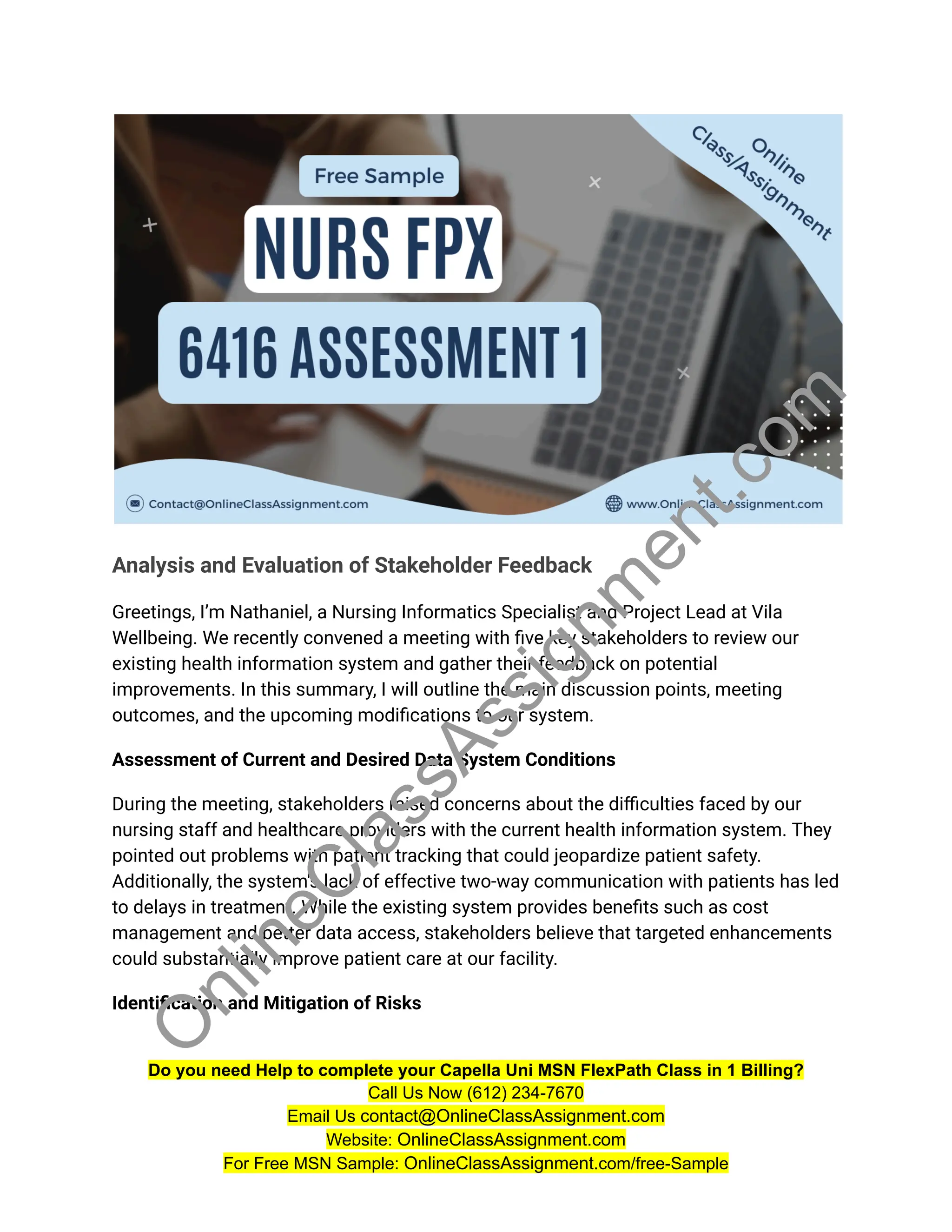 NURS FPX 6416 Assessment 1 Needs Assessment Meeting with Stakeholders.pdf