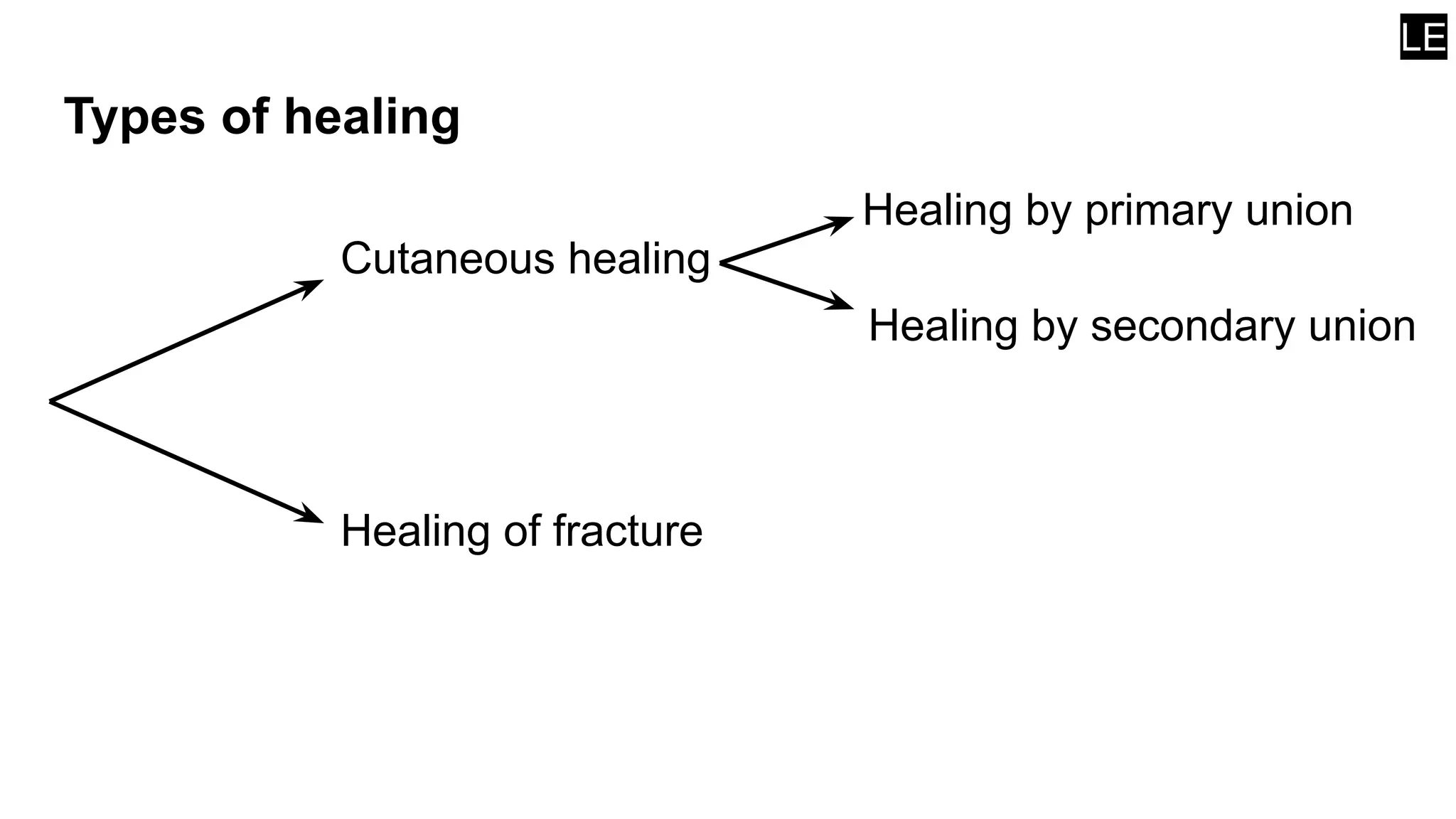 Chronic inflammation, Wound healing - Pathology - Nursing | PDF