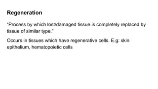 Chronic inflammation, Wound healing - Pathology - Nursing | PDF