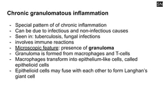 Chronic inflammation, Wound healing - Pathology - Nursing | PDF