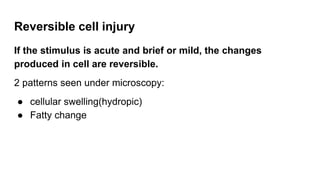 Cell adaptations, Cell injury, Necrosis, Apoptosis - Pathology ...