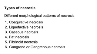 Cell adaptations, Cell injury, Necrosis, Apoptosis - Pathology ...