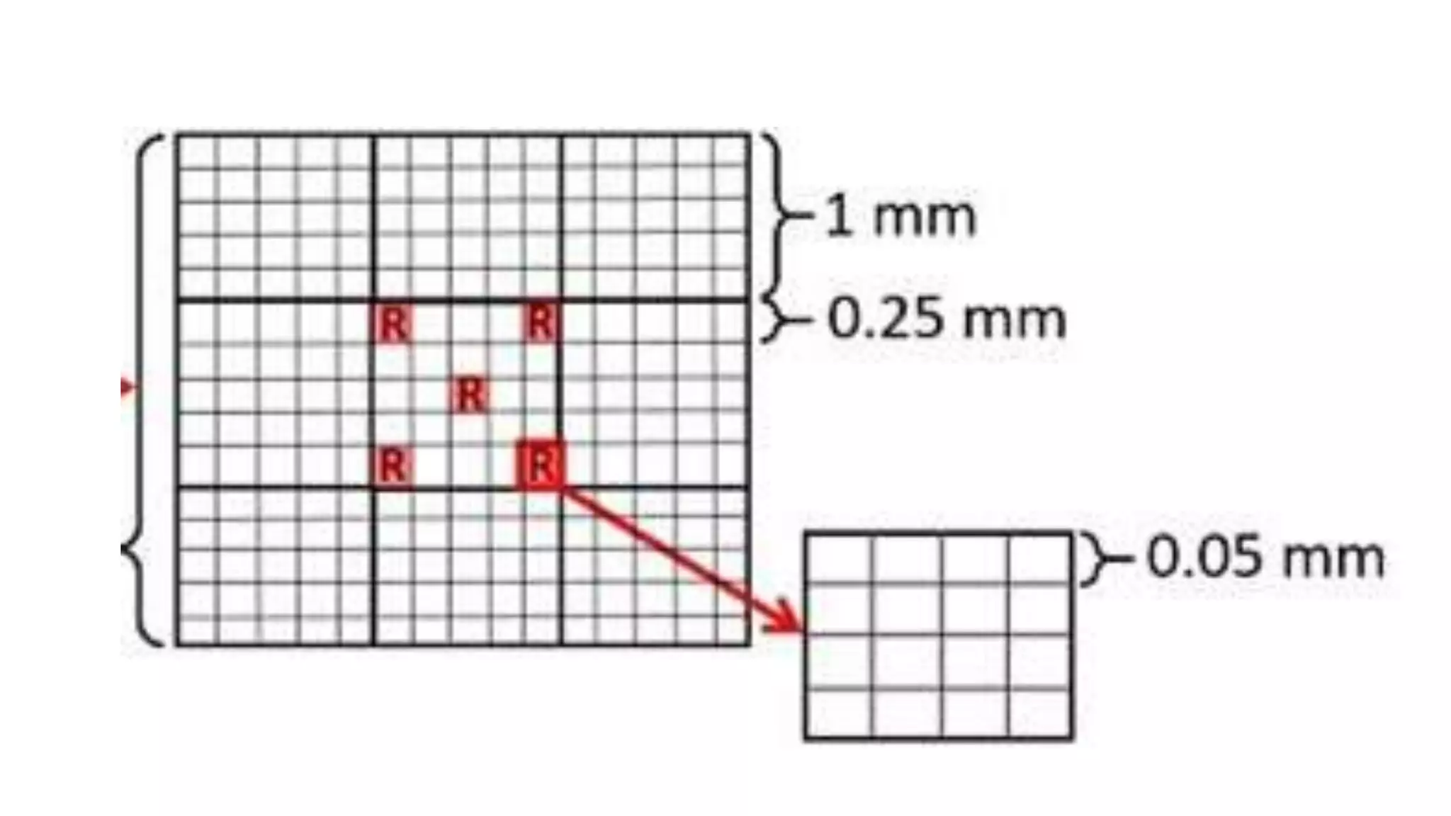 Hemoglobin estimation, RBC, WBC, platelet counts - Pathology - Nursing ...