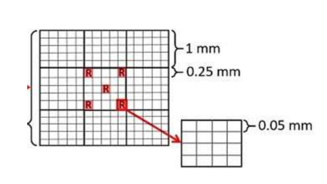 Hemoglobin estimation, RBC, WBC, platelet counts - Pathology - Nursing ...