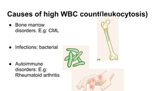 Hemoglobin estimation, RBC, WBC, platelet counts - Pathology - Nursing ...