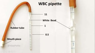 Hemoglobin estimation, RBC, WBC, platelet counts - Pathology - Nursing ...