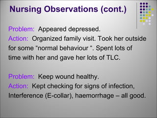 Nursing | PPT