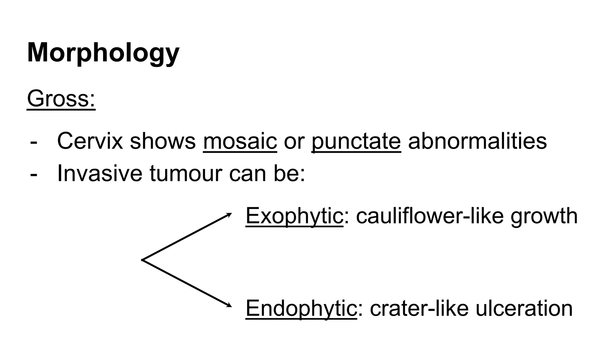 Female genital system: Fibroid, cervical cancer, endometrial cancer ...