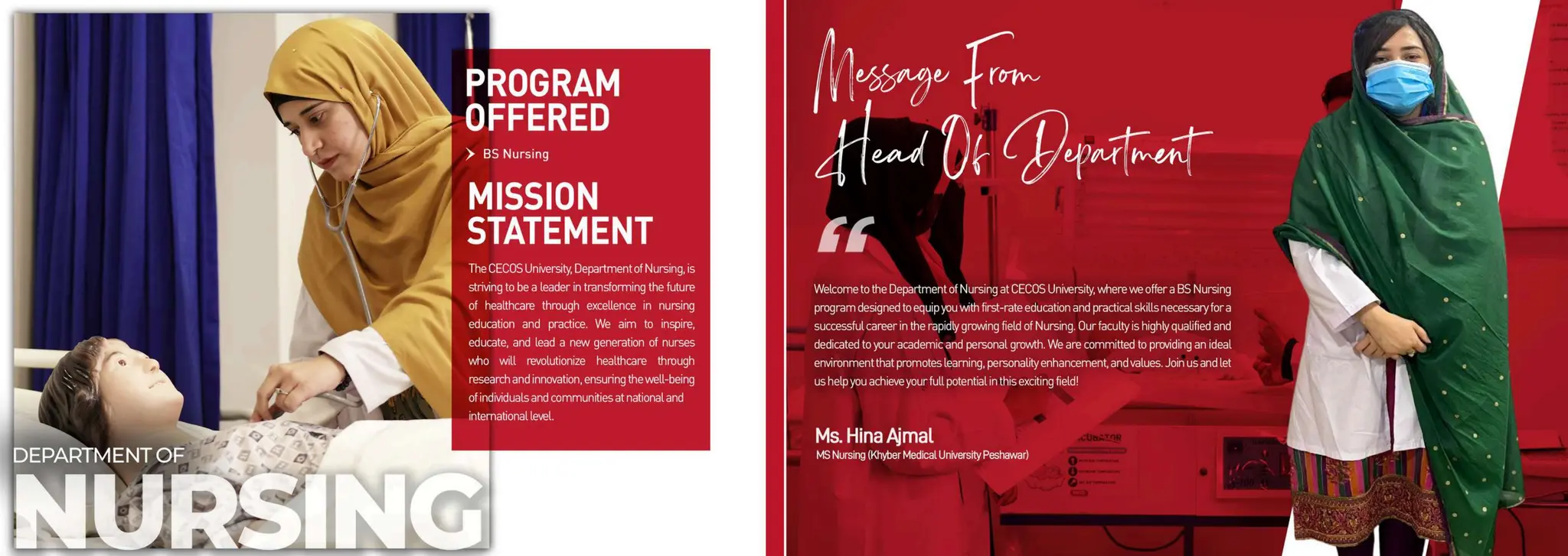 Nursing-Brochure to analysis the scope and job for nursing 2.pdf