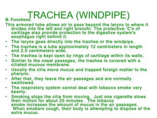 Nursing bulletin-respiratory-system-1206089371820429-5 | PPT