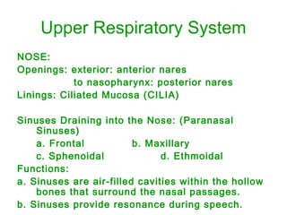 Nursing bulletin-respiratory-system-1206089371820429-5 | PPT