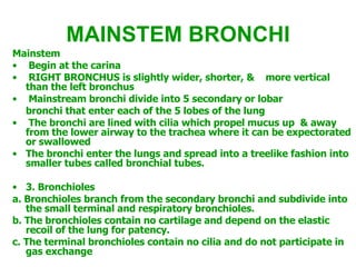 Nursing Bulletin Respiratory System | PPT