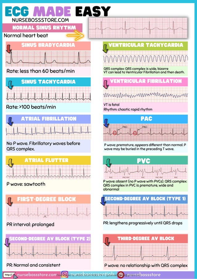 FREE NURSING BUNDLE FOR NURSES.PDF by na | PDF | Heart and ...