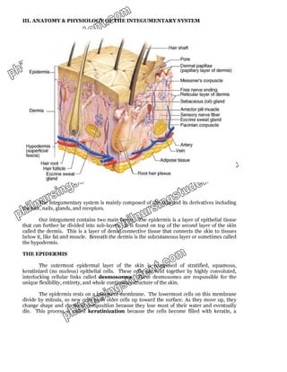 Nursing case-study-burns-philnursingstudent | PDF