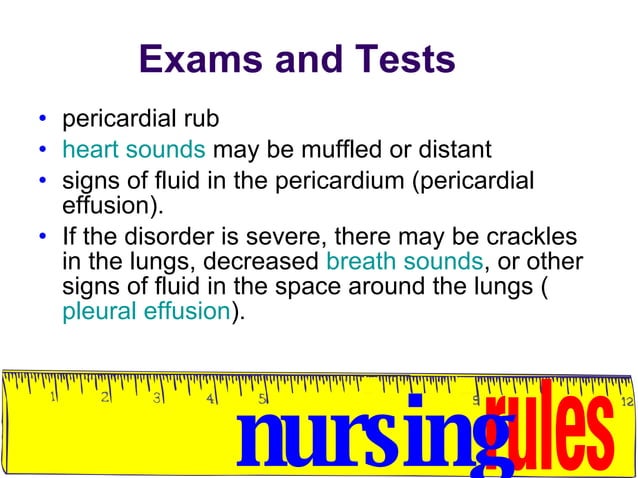 Nursing Rules! | PPT