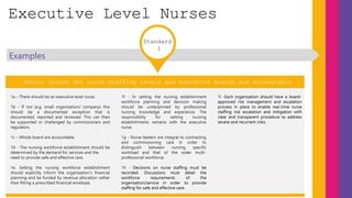 Nursing-Workforce-Standards-presentation-slides.pptx