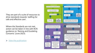Nursing-Workforce-Standards-presentation-slides.pptx