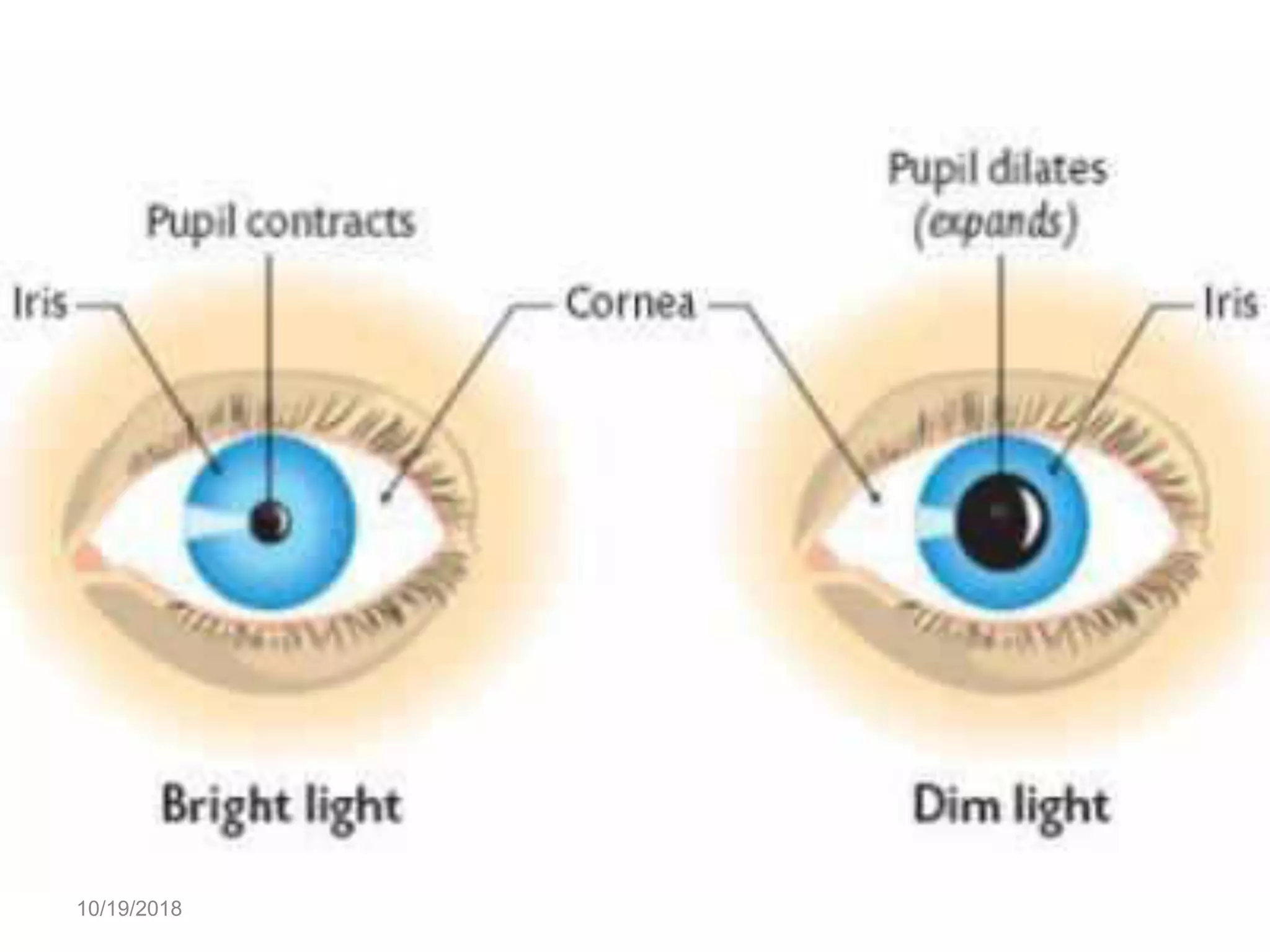 Nursing assessment and assessment of eye | PDF