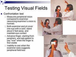 Nursing assessment and assessment of eye | PDF