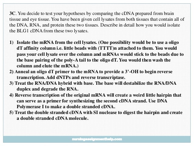 Online Molecular Biology Assignment Help | PPTX