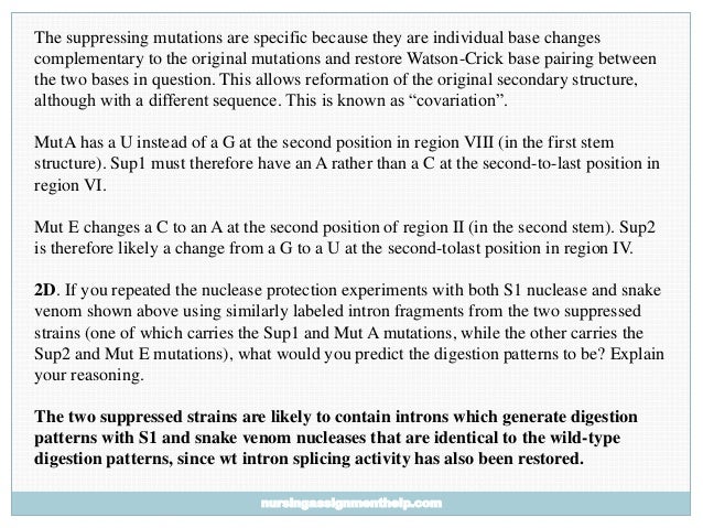 Online Molecular Biology Assignment Help | PPTX