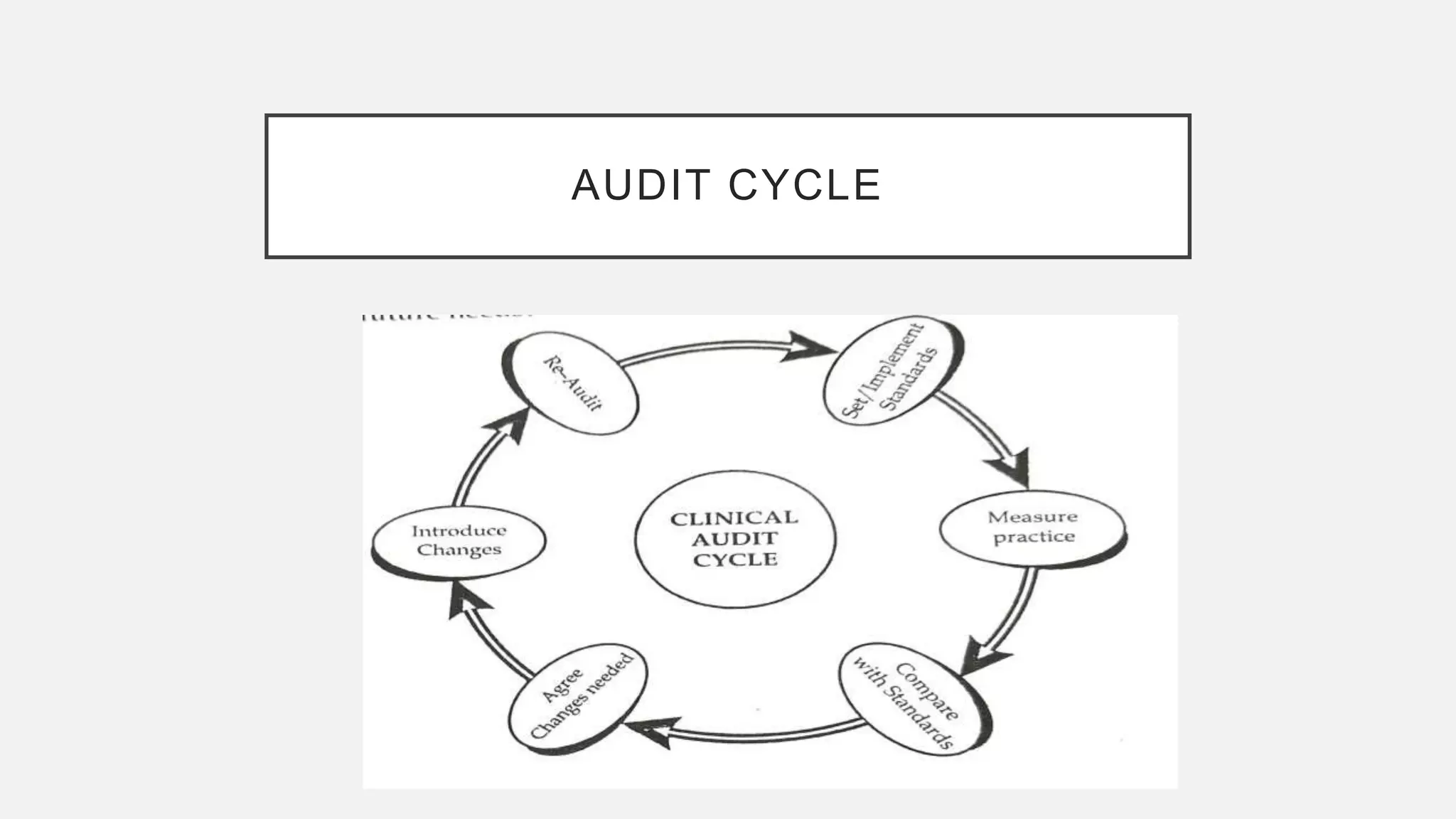 nursing audit.ppt