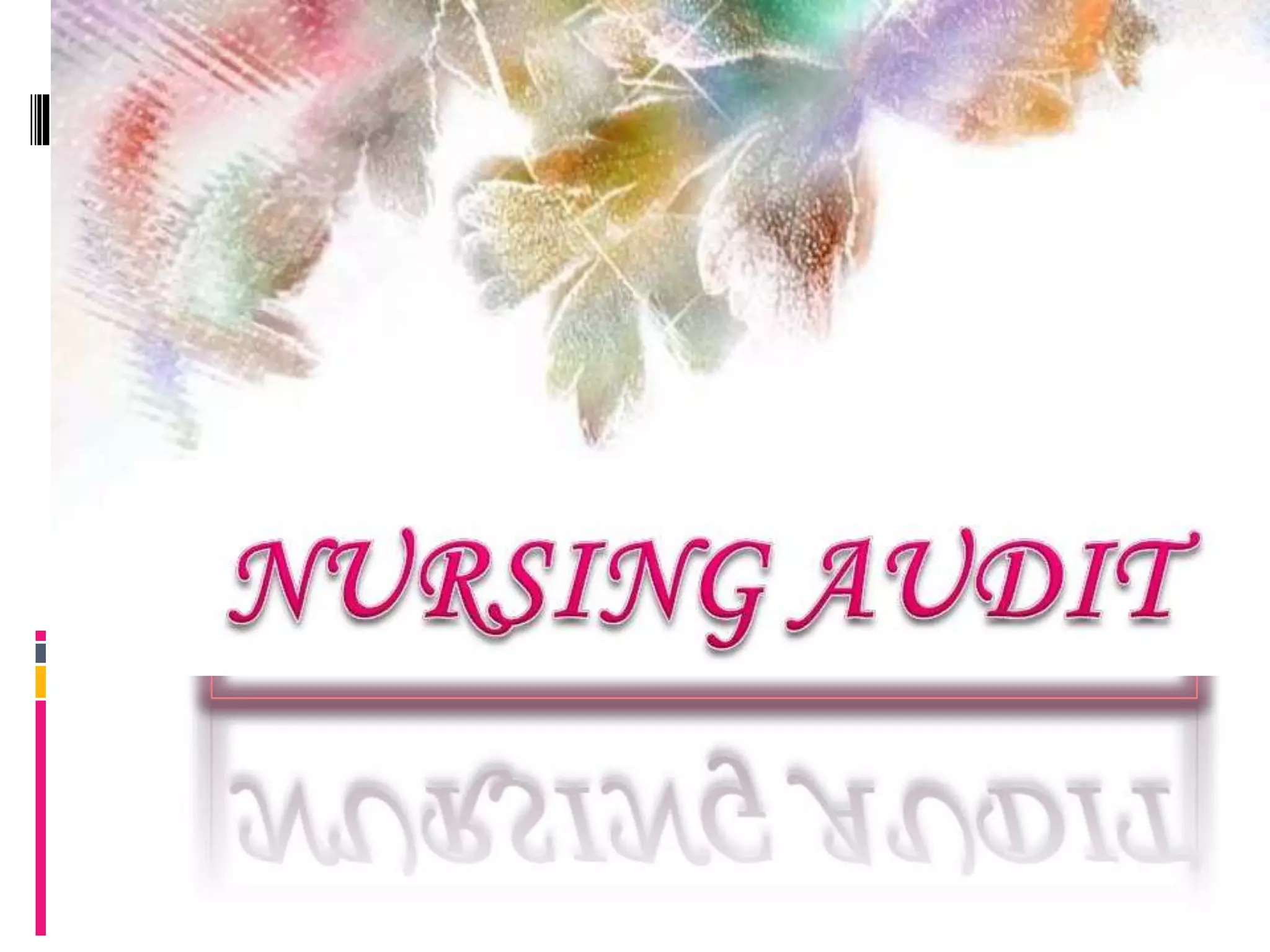 nursingaudit.pptx