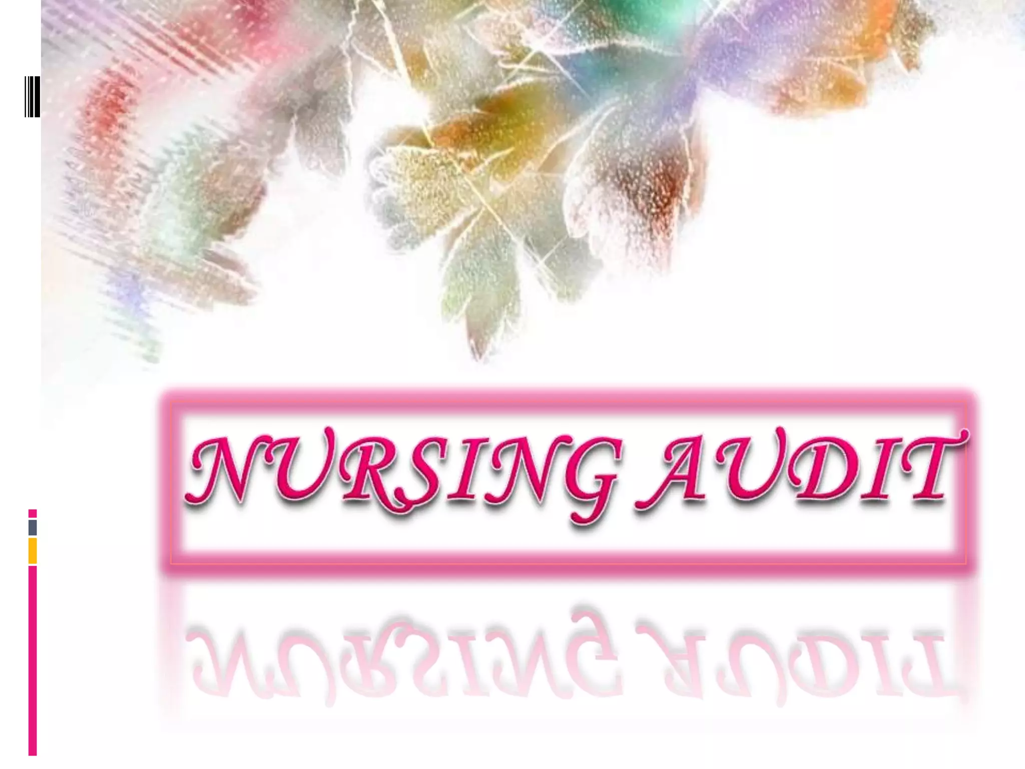 nursingaudit.pdf