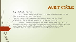 Nursing Audit. PREPARED BY MSC STUDENT | PPTX