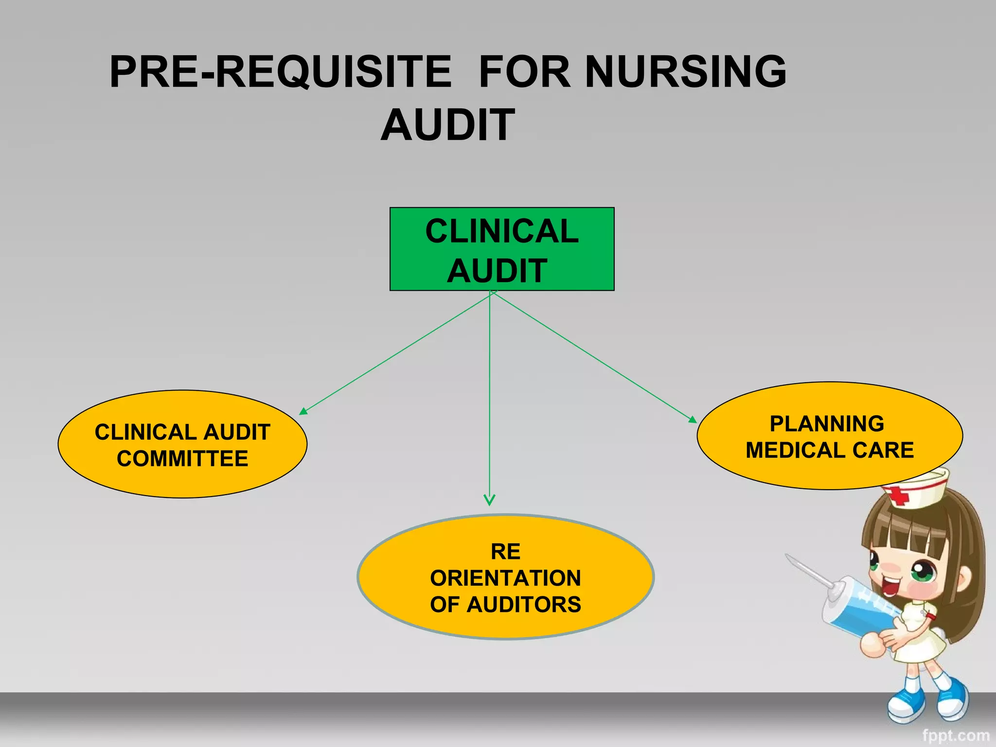 Nursing Audit | PPT