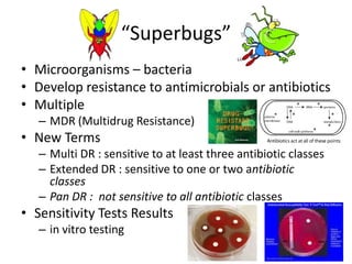 Superbugs and Bundles of Care | PPT