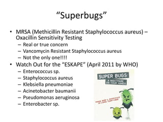 Superbugs and Bundles of Care | PPT