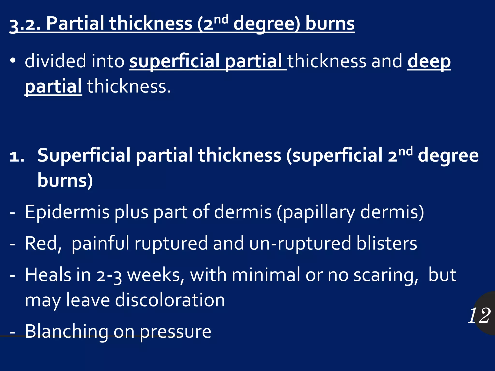 Burn Injuries: Management and Nursing Care | PDF