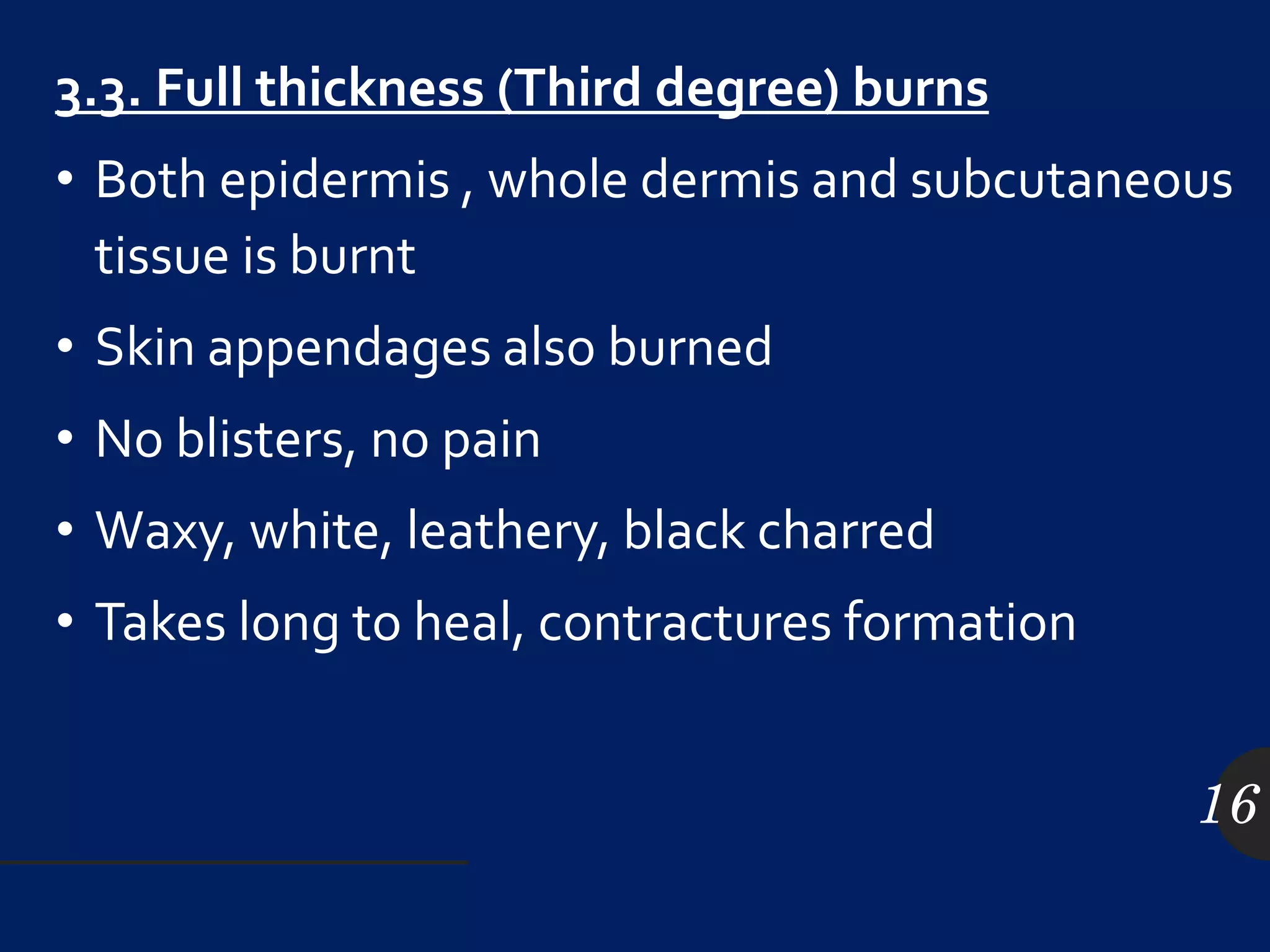 Burn Injuries: Management and Nursing Care | PDF